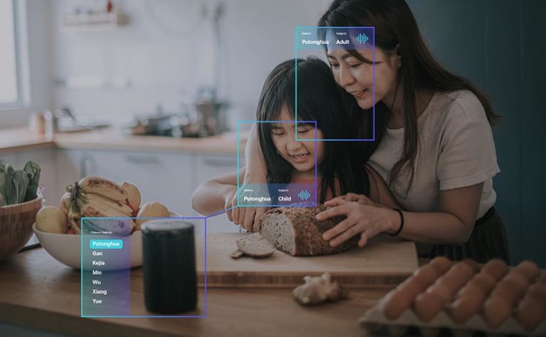 Human-powered Data Processing Services for AI/ML Models - Shaip