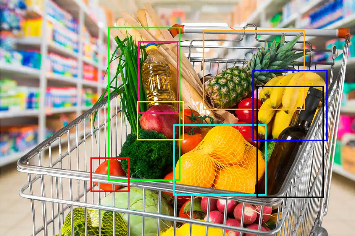 Adituen txikizkako datuen oharpena | AI Training Data Solutions