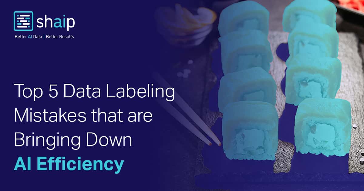 Top 5 Data Labeling Mistakes that Are Bringing Down AI Efficiency | Shaip