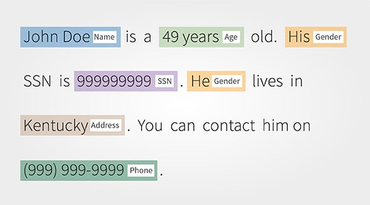 NER Annotation Services | Named Entity Recognition in NLP