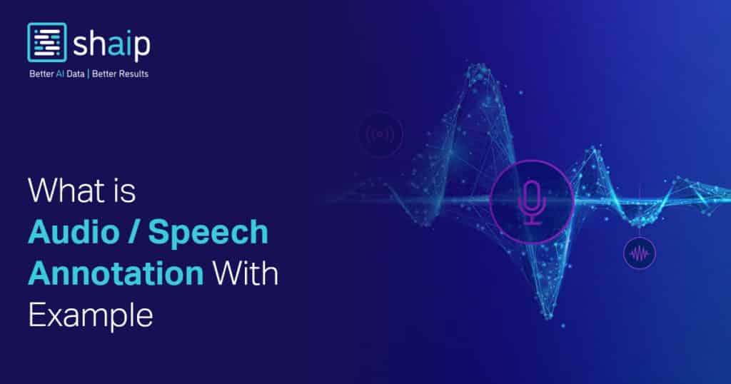 Audio Annotation Services | NLP Speech Data Labeling Company - Shaip